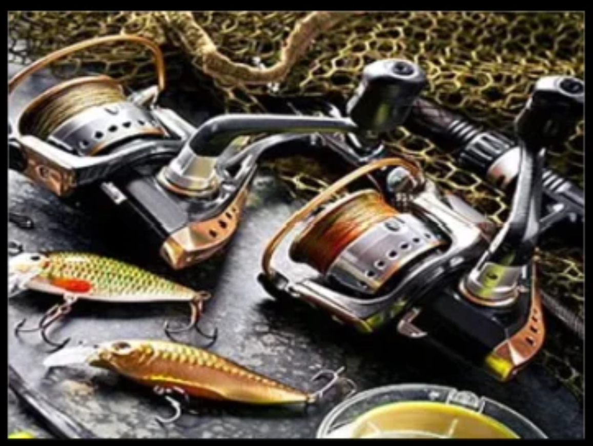 Spinning Fishing Reels – High-Quality & Durable Options – OffGrid ...